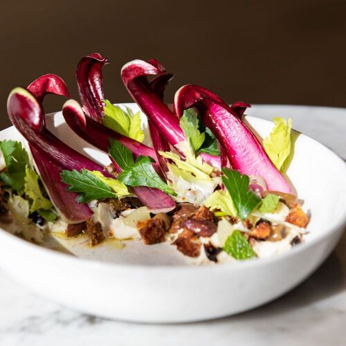 Pagu – Cambridge - a MICHELIN Guide Restaurant