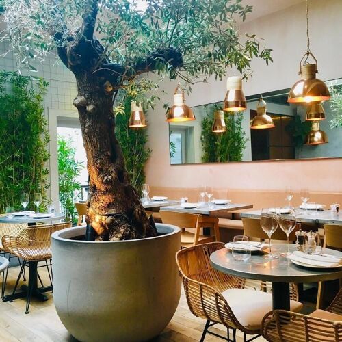 Josephine – London - a MICHELIN Guide Restaurant