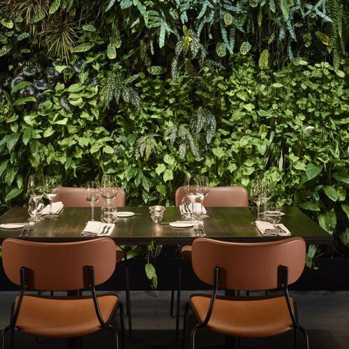Alma – Prague - a MICHELIN Guide Restaurant