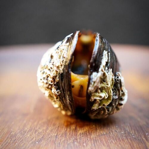 Alimentum – Aalborg - a MICHELIN Guide Restaurant