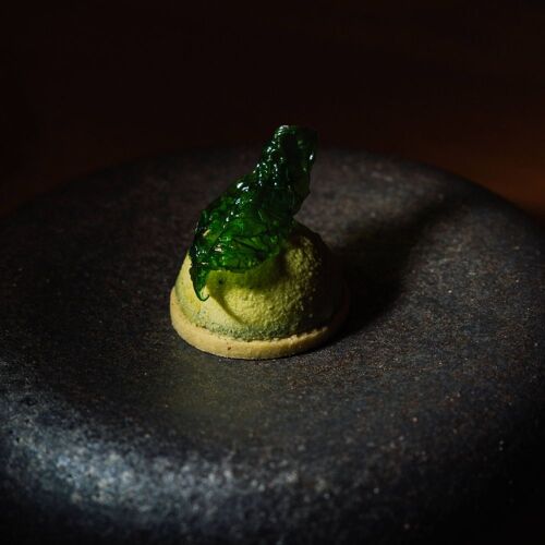 Lilac – Tampa - a MICHELIN Guide Restaurant