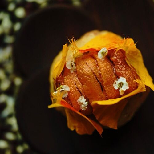 Beity – Chicago - a MICHELIN Guide Restaurant