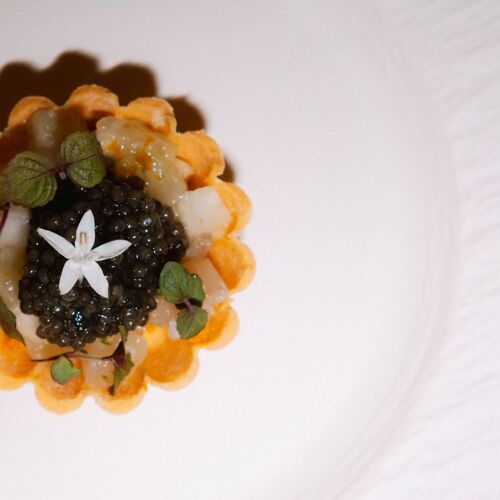 Lilac – Tampa - a MICHELIN Guide Restaurant