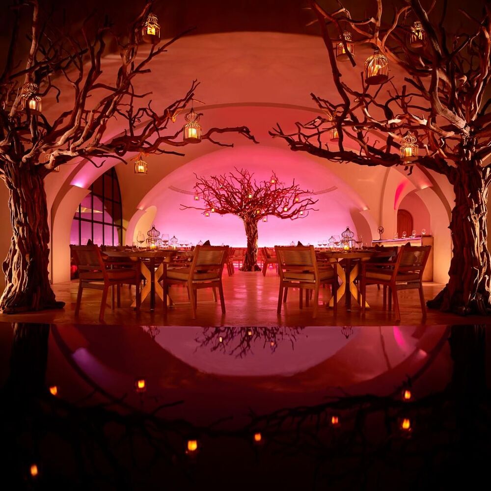 Arbol – San José del Cabo - a MICHELIN Guide Restaurant