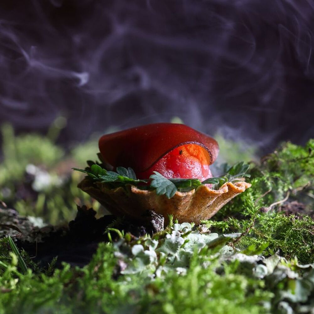 Gallo Nero – Sienna - a MICHELIN Guide Restaurant