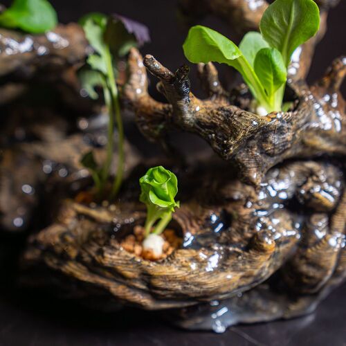 Cinque Foglie – Battipaglia - a MICHELIN Guide Restaurant