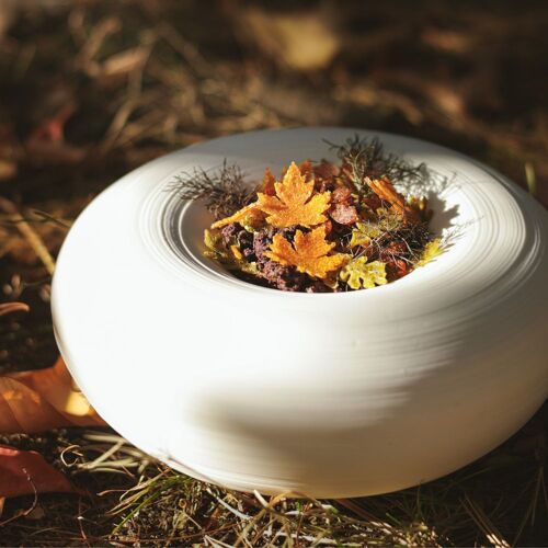Modern Cuisine – The MICHELIN Guide Ireland