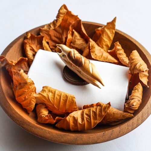 Alimentum – Aalborg - a MICHELIN Guide Restaurant