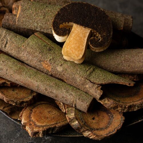 MICHELIN Restaurants – The MICHELIN Guide