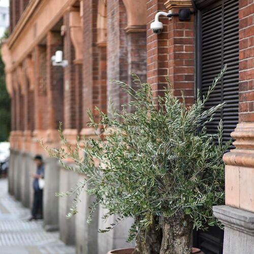Noble Rot – London - a MICHELIN Guide Restaurant