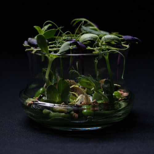 Saison – San Francisco - a MICHELIN Guide Restaurant