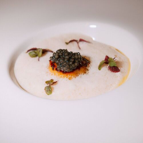 Lilac – Tampa - a MICHELIN Guide Restaurant
