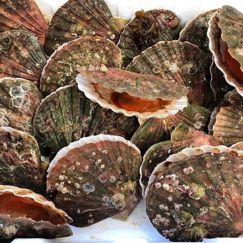 The Mariners – Rock - a MICHELIN Guide Restaurant