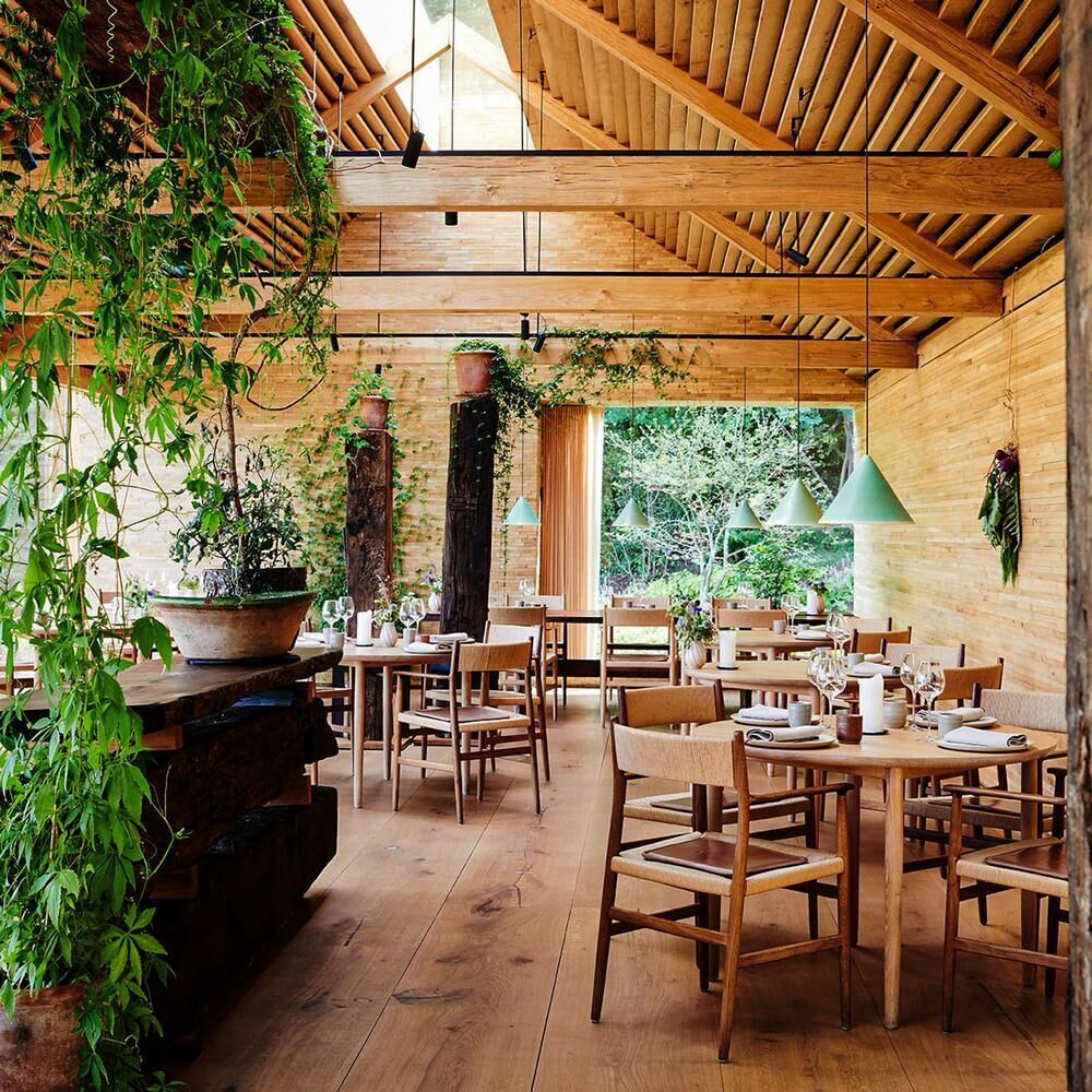 Noma Restaurant