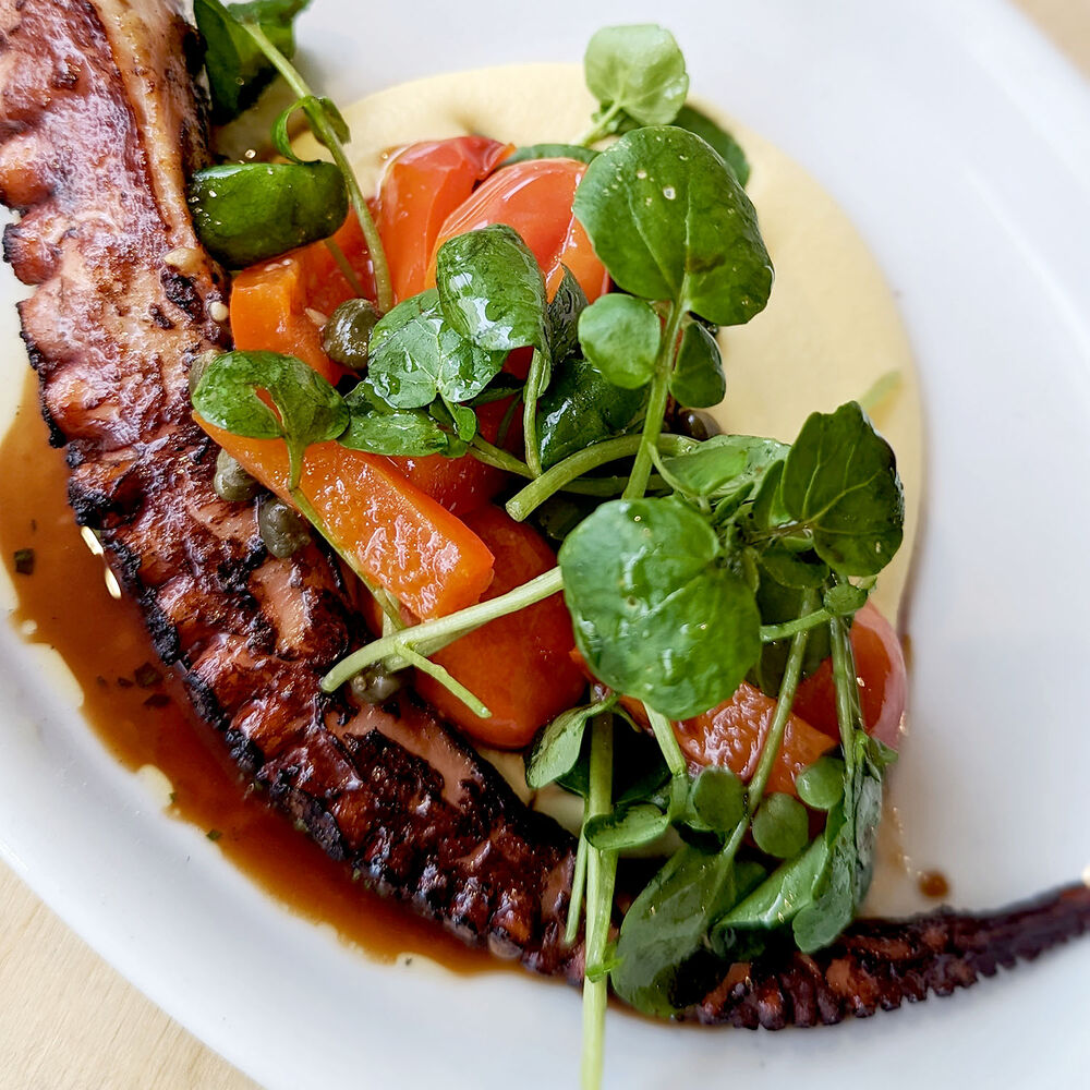 Palmito - Brighton and Hove - Un restaurant du guide MICHELIN