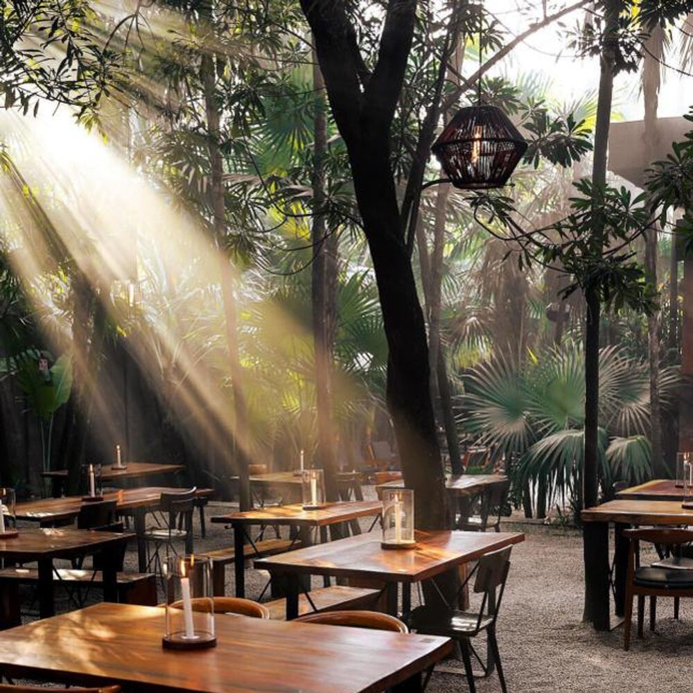 Arca – Tulum - a MICHELIN Guide Restaurant