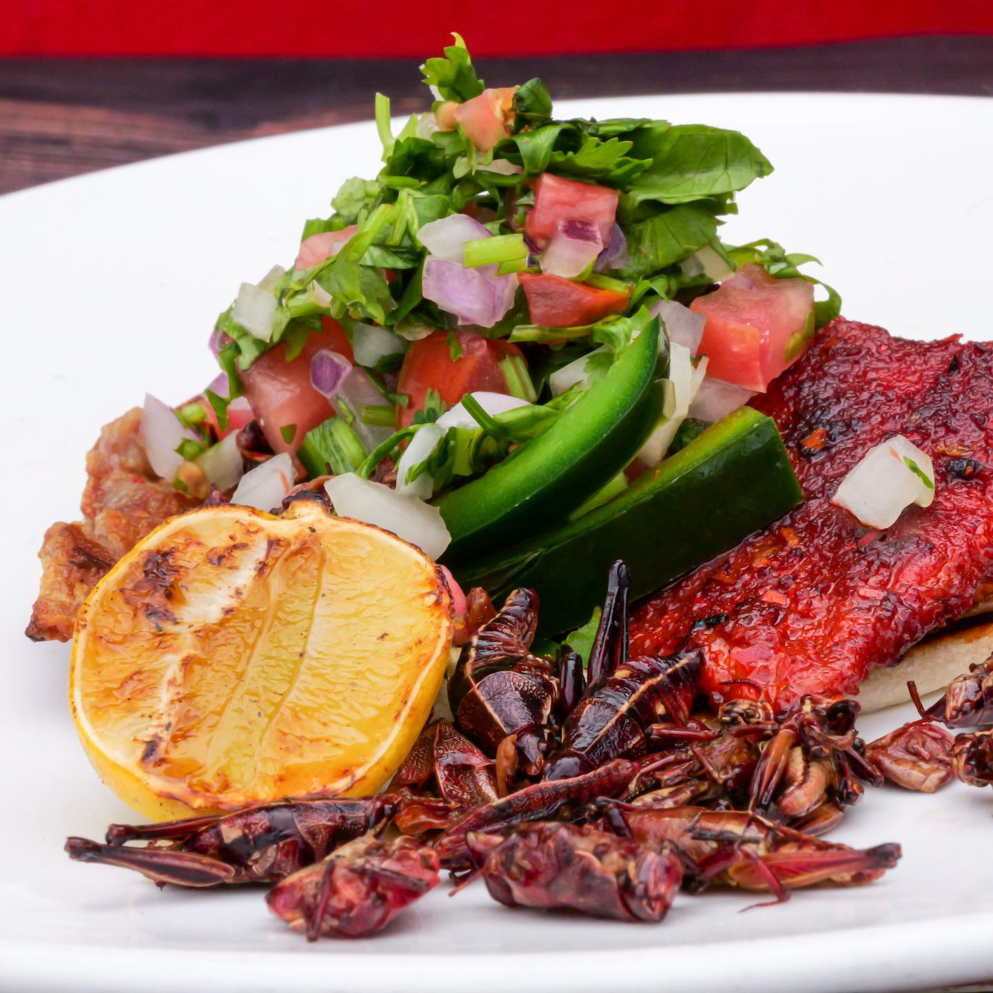 Rocio's Mexican Kitchen – Bell Gardens - a MICHELIN Guide Restaurant