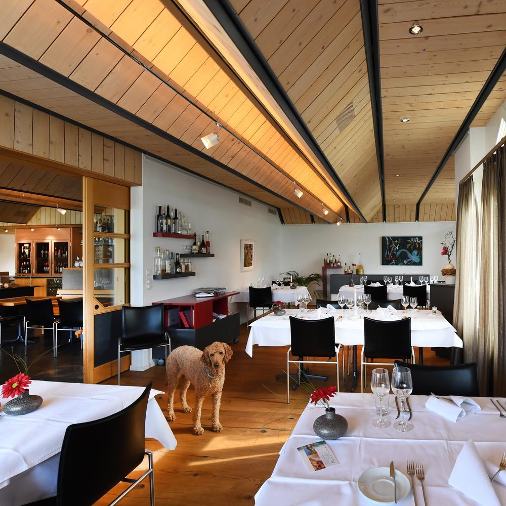 Interlaken MICHELIN Restaurants - The MICHELIN Guide Switzerland
