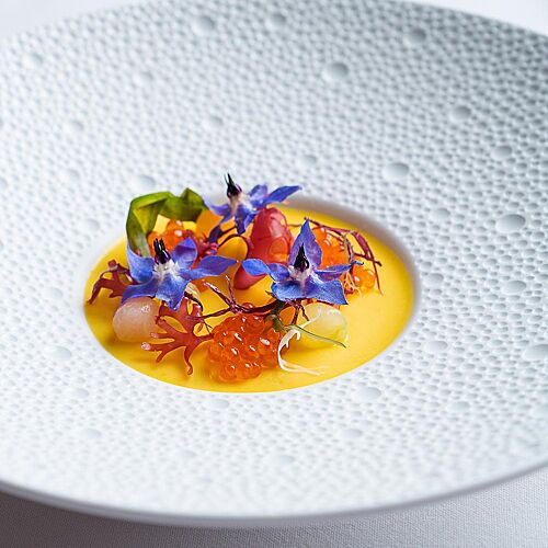 MICHELIN Restaurants – the MICHELIN Guide