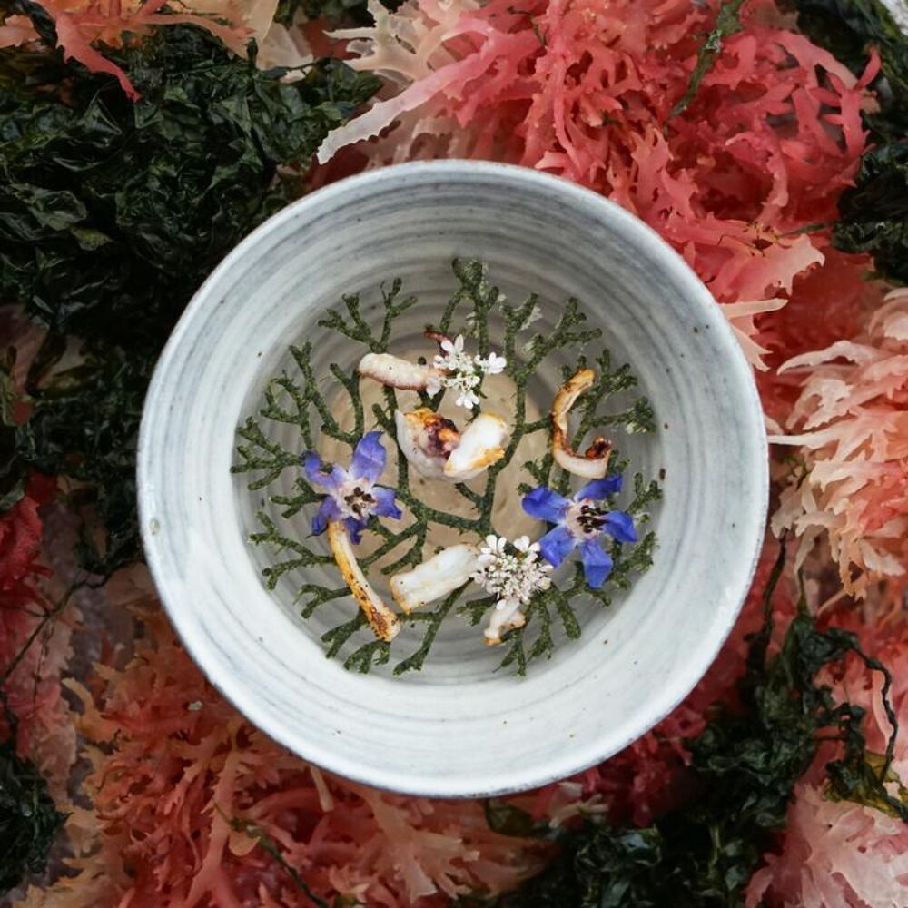 Datenbank – Chengdu - a MICHELIN Guide Restaurant