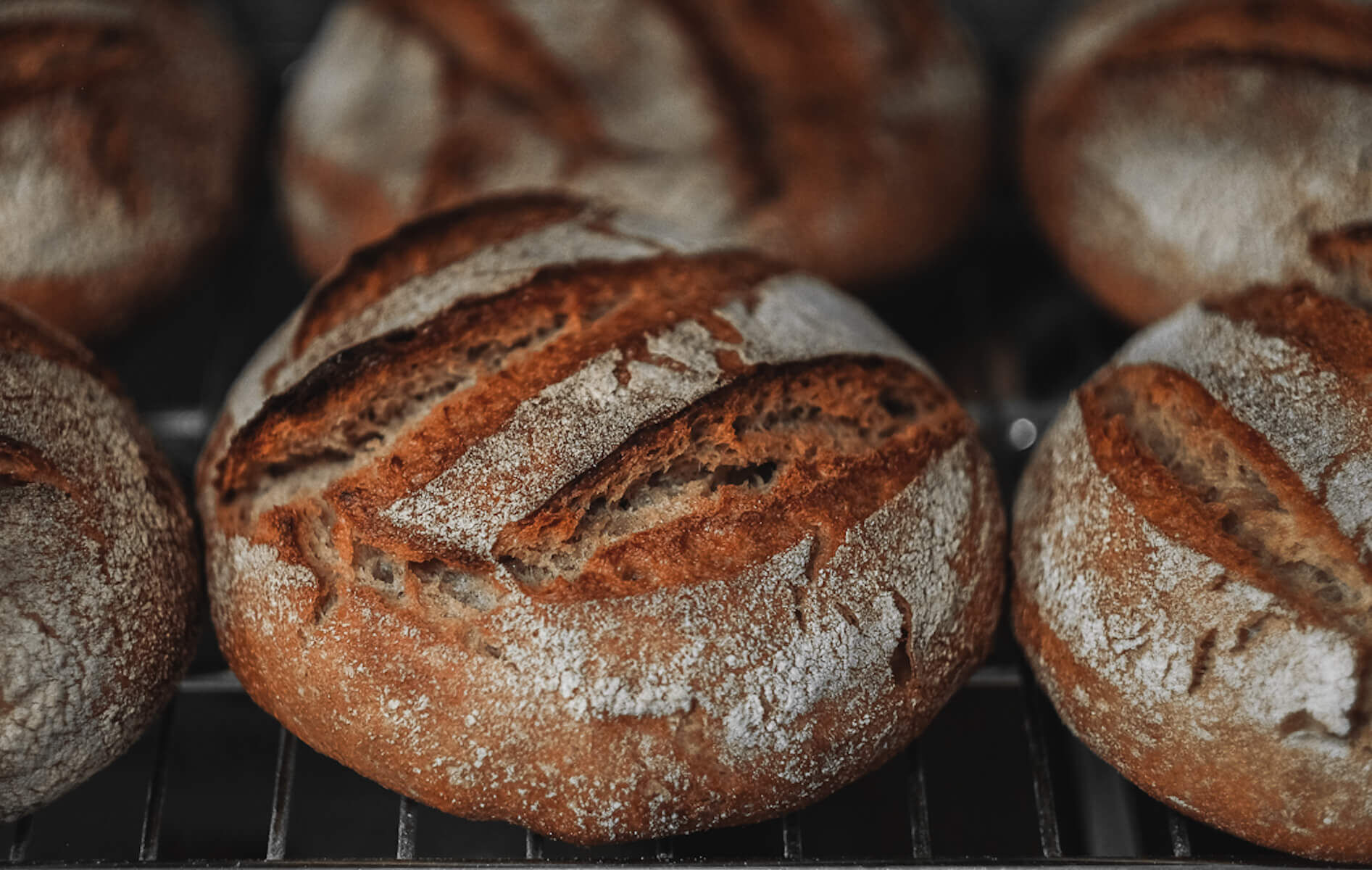 Shop Brood à Lille - Fooding
