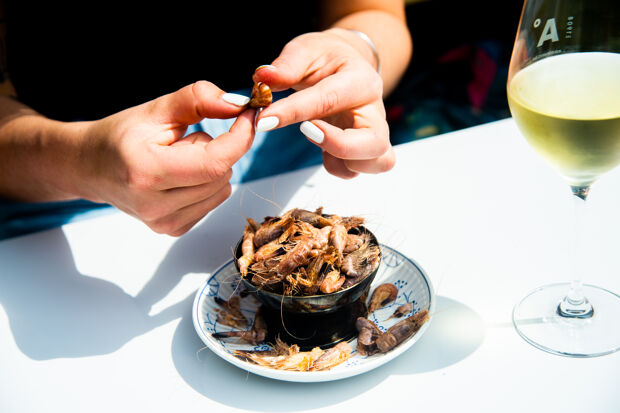 Restaurant Bar Bonk in Westende - Fooding